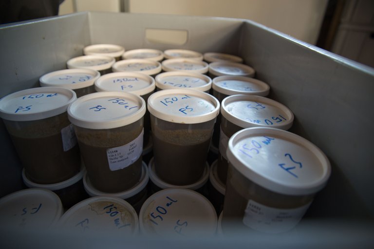 Husdyrgjødsel + fiskeslam = biogass - Nibio